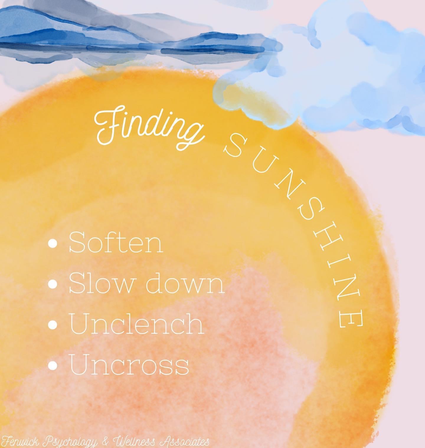 Finding Sunshine Series: Tiny tips to brighten your day. – Fenwick ...